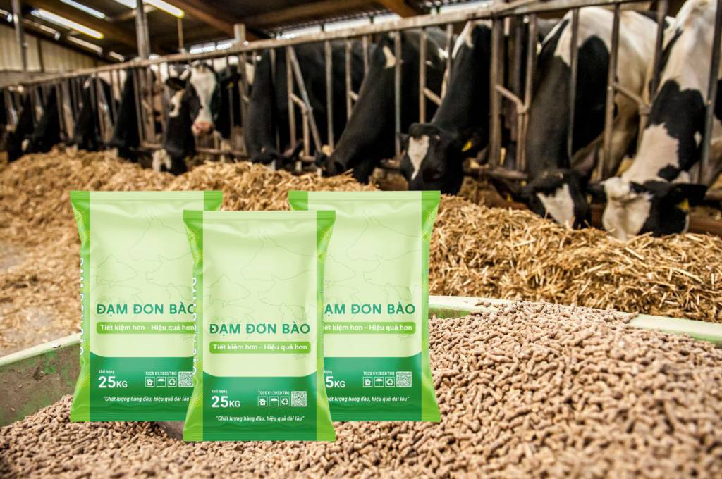 ĐẠM ĐƠN BÀO - nguyên liệu TACN thay thế đạm động vật